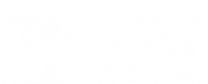 Mobility Credit Union: Banking Without Boundaries